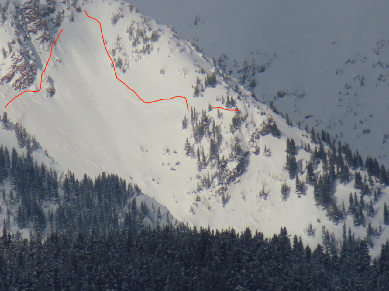 South and West aspects came alive | Crested Butte Avalanche Center